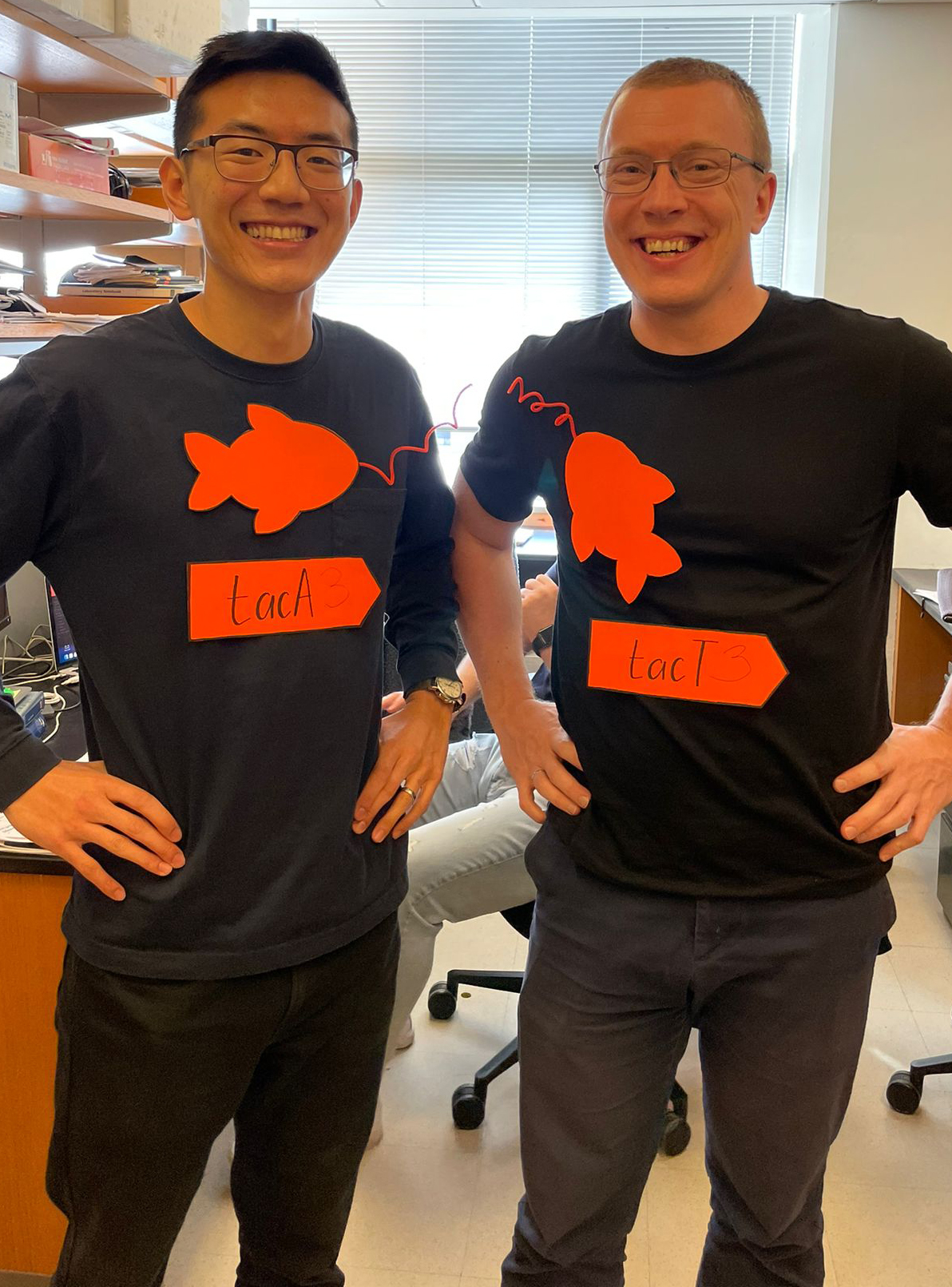 gallery – HELAINE LAB